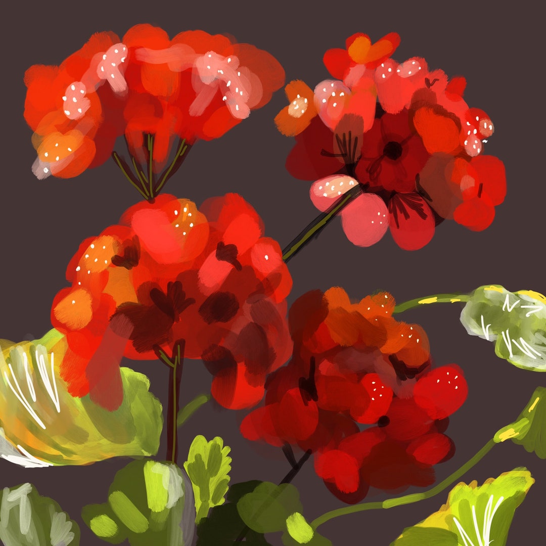 Red Geraniums, Print, 8"x8" - Etsy