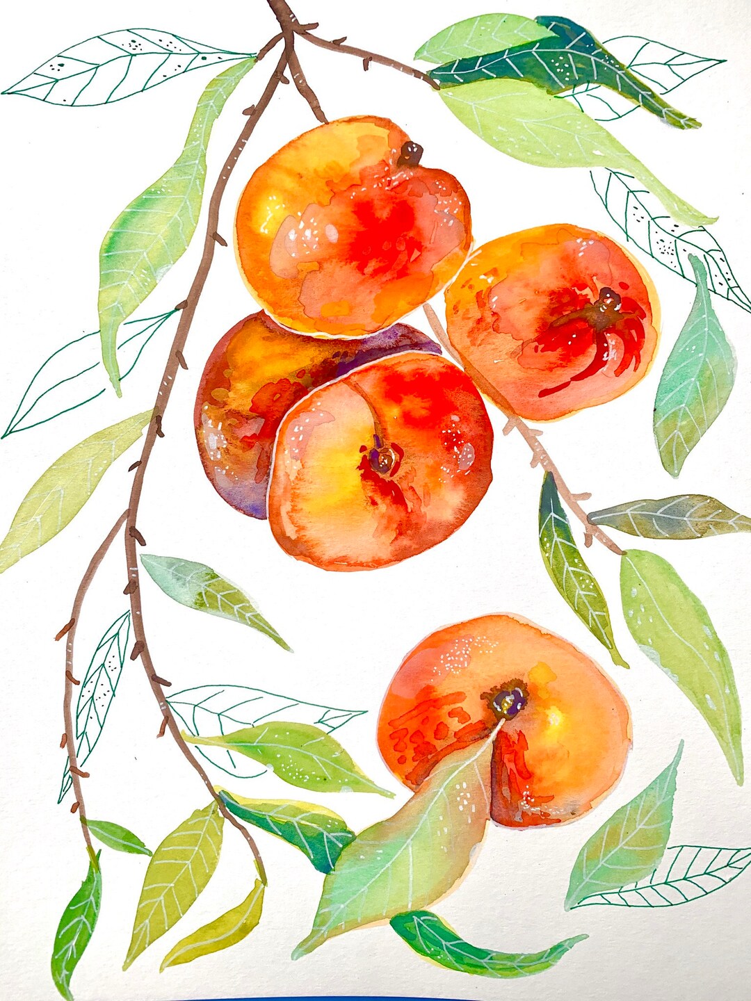 Peaches, Watercolor Painting, Original Art, 9"x12" - Etsy