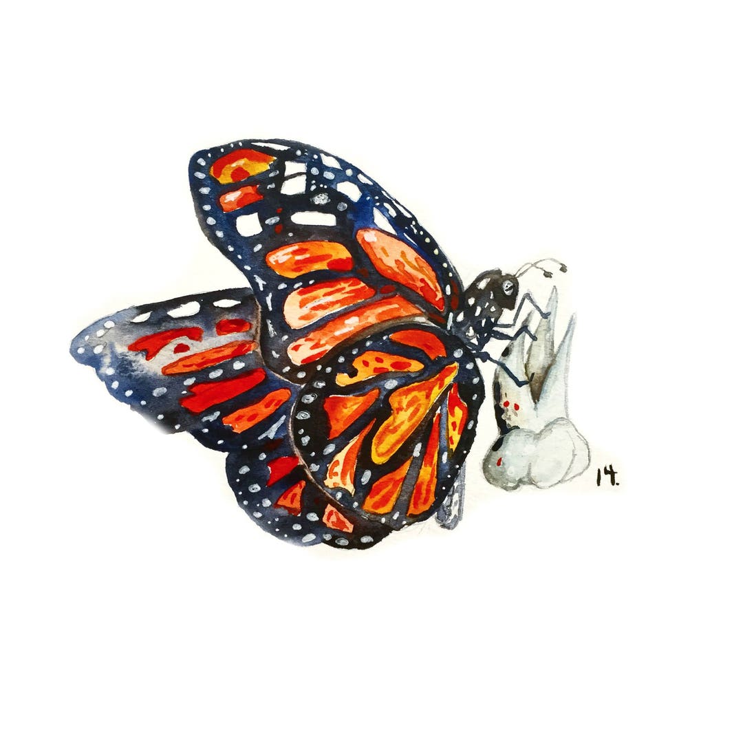 Butterfly Tooth, Watercolor Painting, Dentist Art, Tooth Painting ...