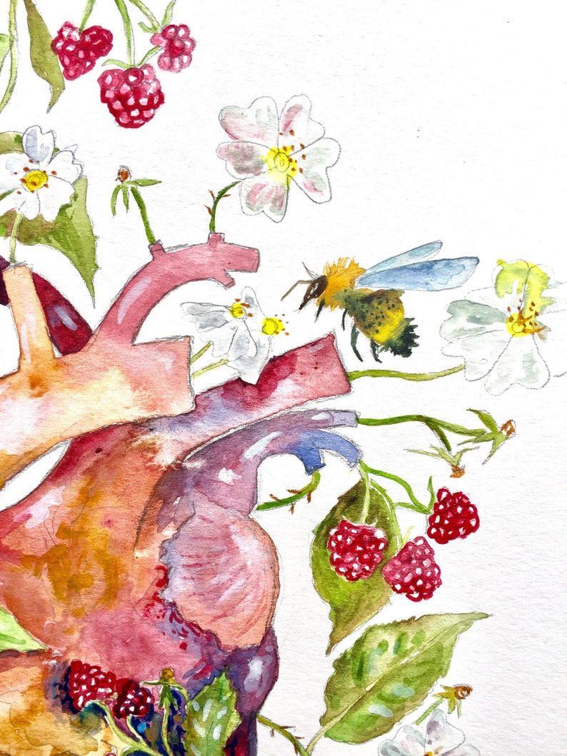 Anatomical Heart Giclee Print, Bees and Raspberry Art, Watercolor ...