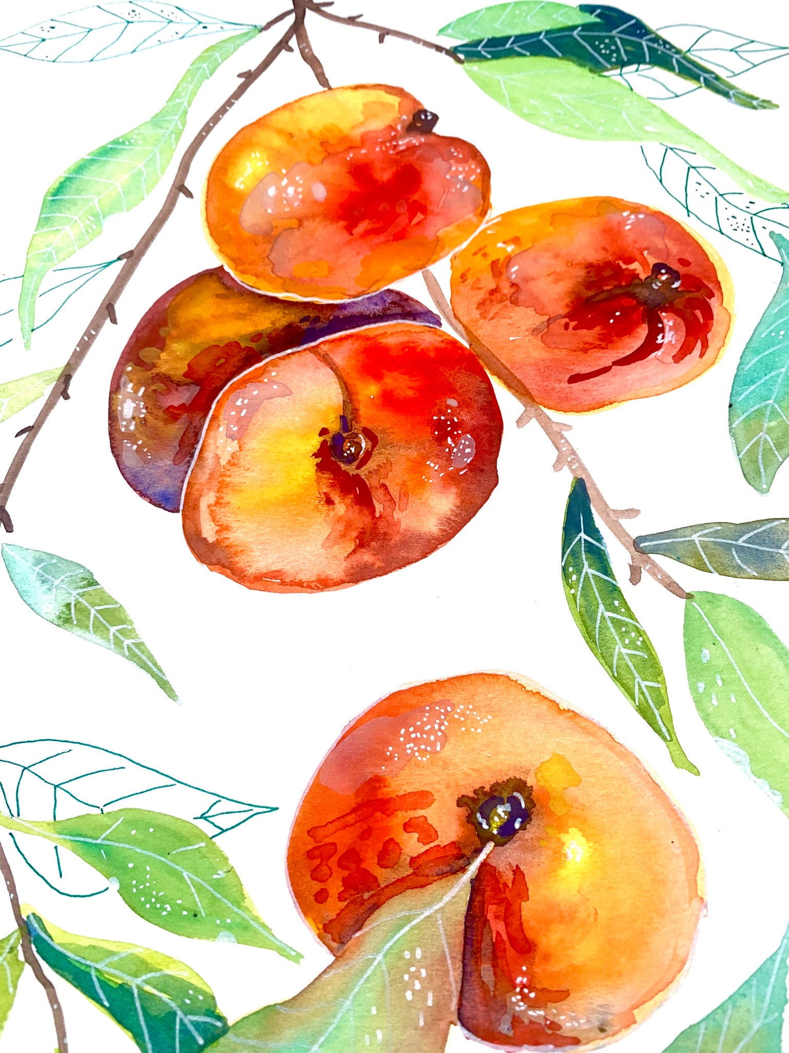 Peaches, Watercolor Painting, Original Art, 9"x12" - Etsy