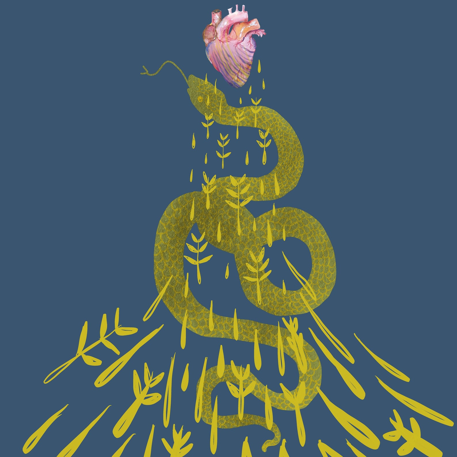 Anatomical Heart Giclee Snake Art Watercolor Painting - Etsy