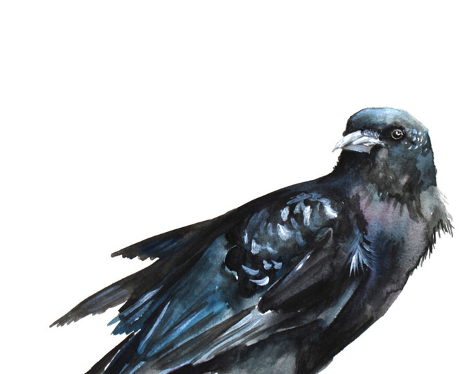 Watercolor Painting, Original Panting, Crow, Bird Painting, 11x15 - Etsy