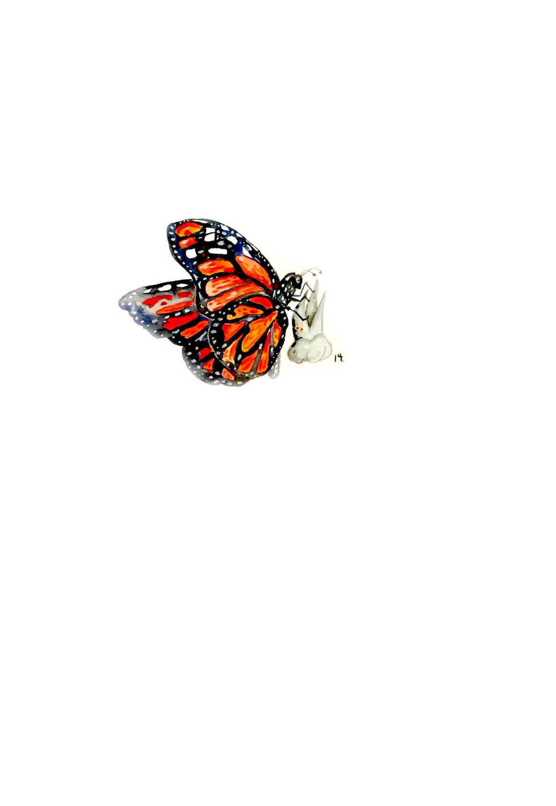 Butterfly Tooth, Watercolor Painting, Dentist Art, Tooth Painting ...