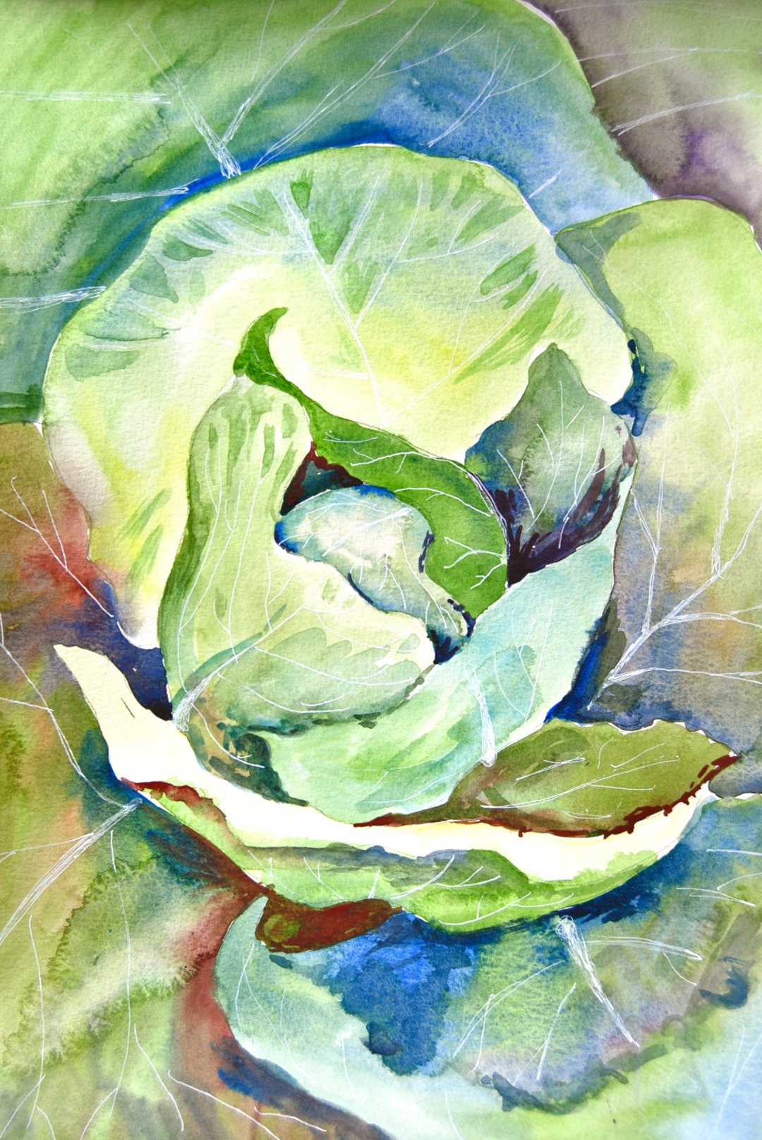 Watercolor Painting, Original Art, Cabbage, 11"x15" - Etsy