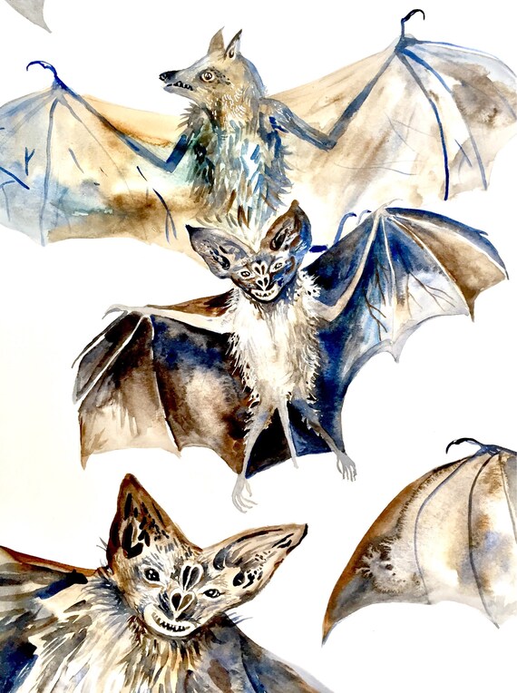 Bats in Flight in Watercolor Watercolor Painting Original | Etsy