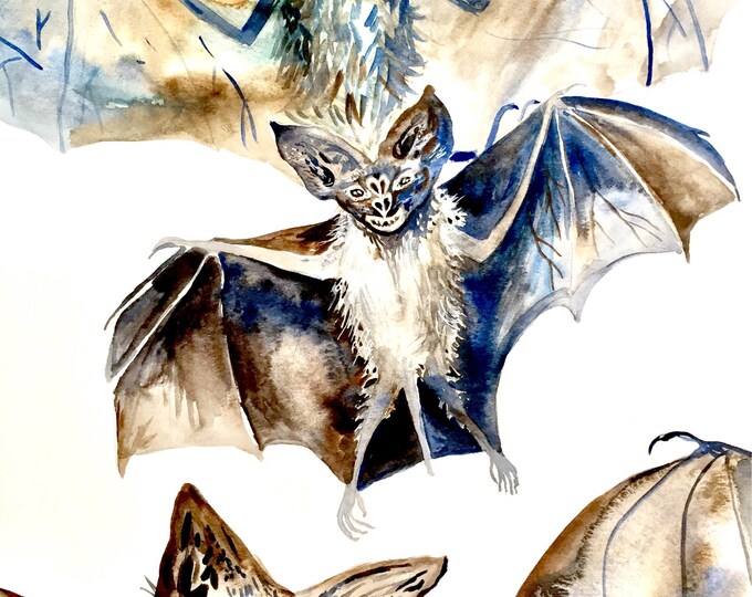 Bats in Flight in Watercolor, Watercolor Painting, Original Art ...