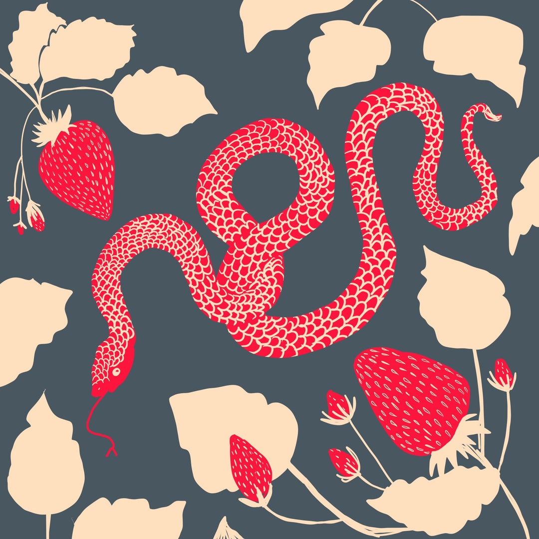 Snake and Strawberries, Print, 8"x8" - Etsy UK