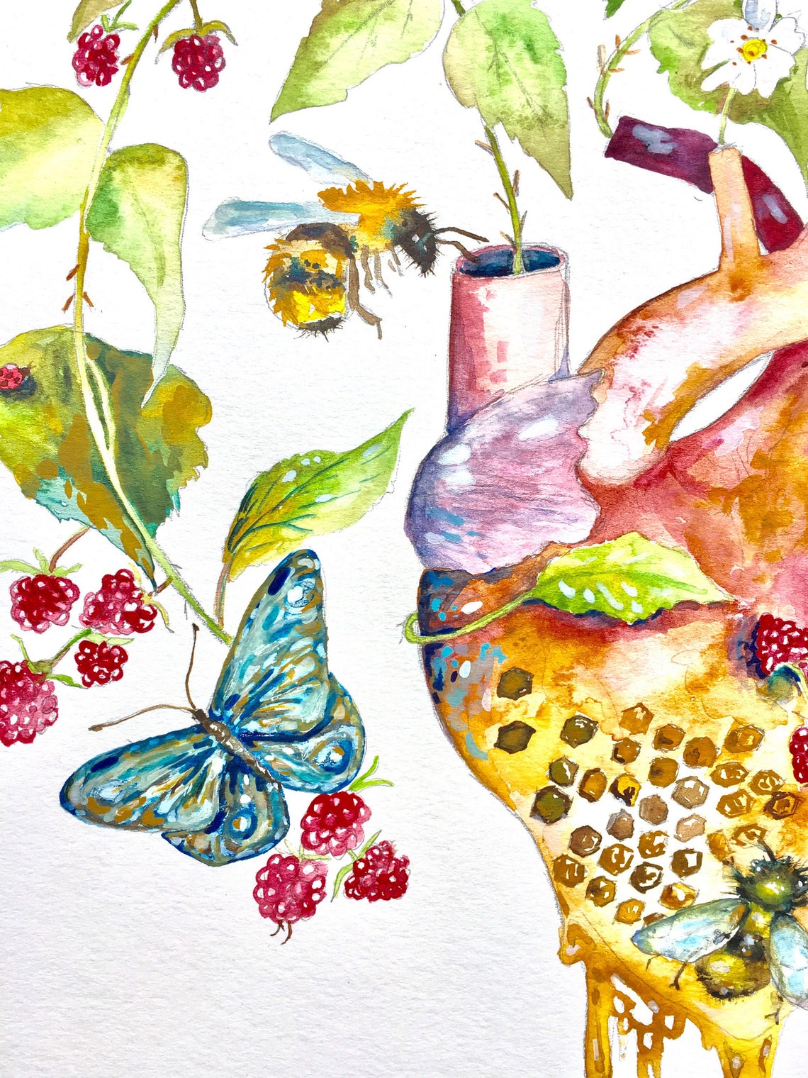 Watercolor Painting Anatomical Heart Bee and Brambles - Etsy