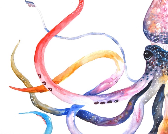 Watercolor Painting Original Painting Squid Painting - Etsy
