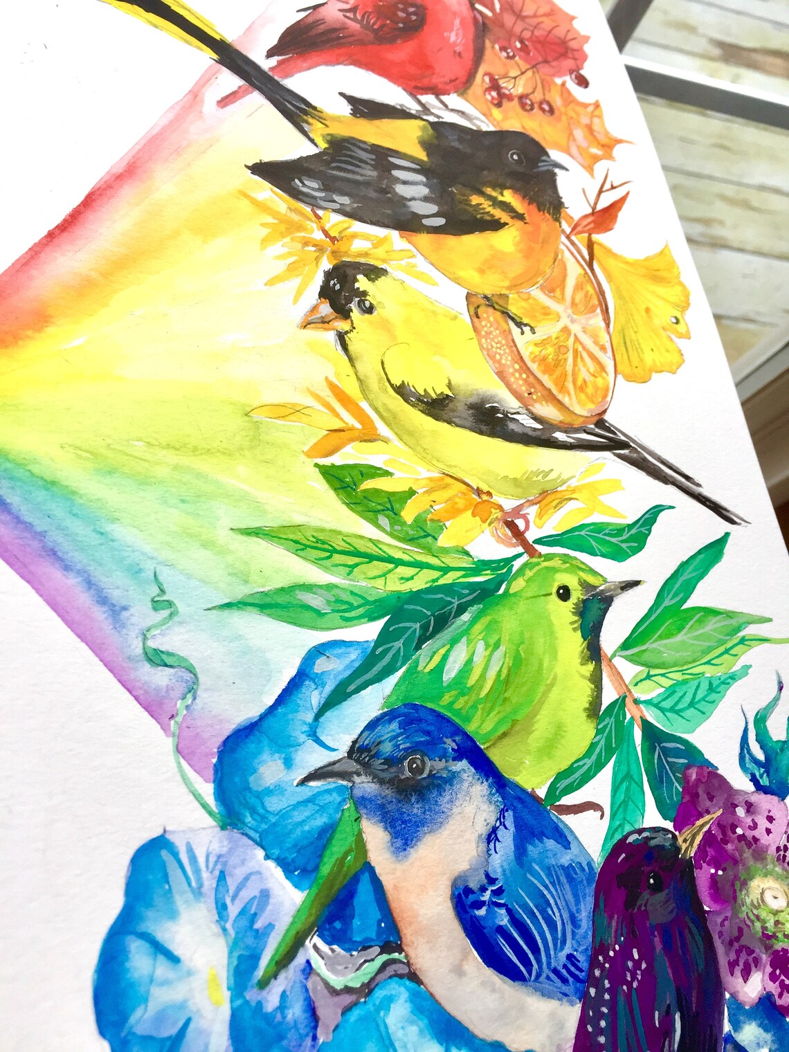 Rainbow of Birds, Print, 8”x10” - Etsy