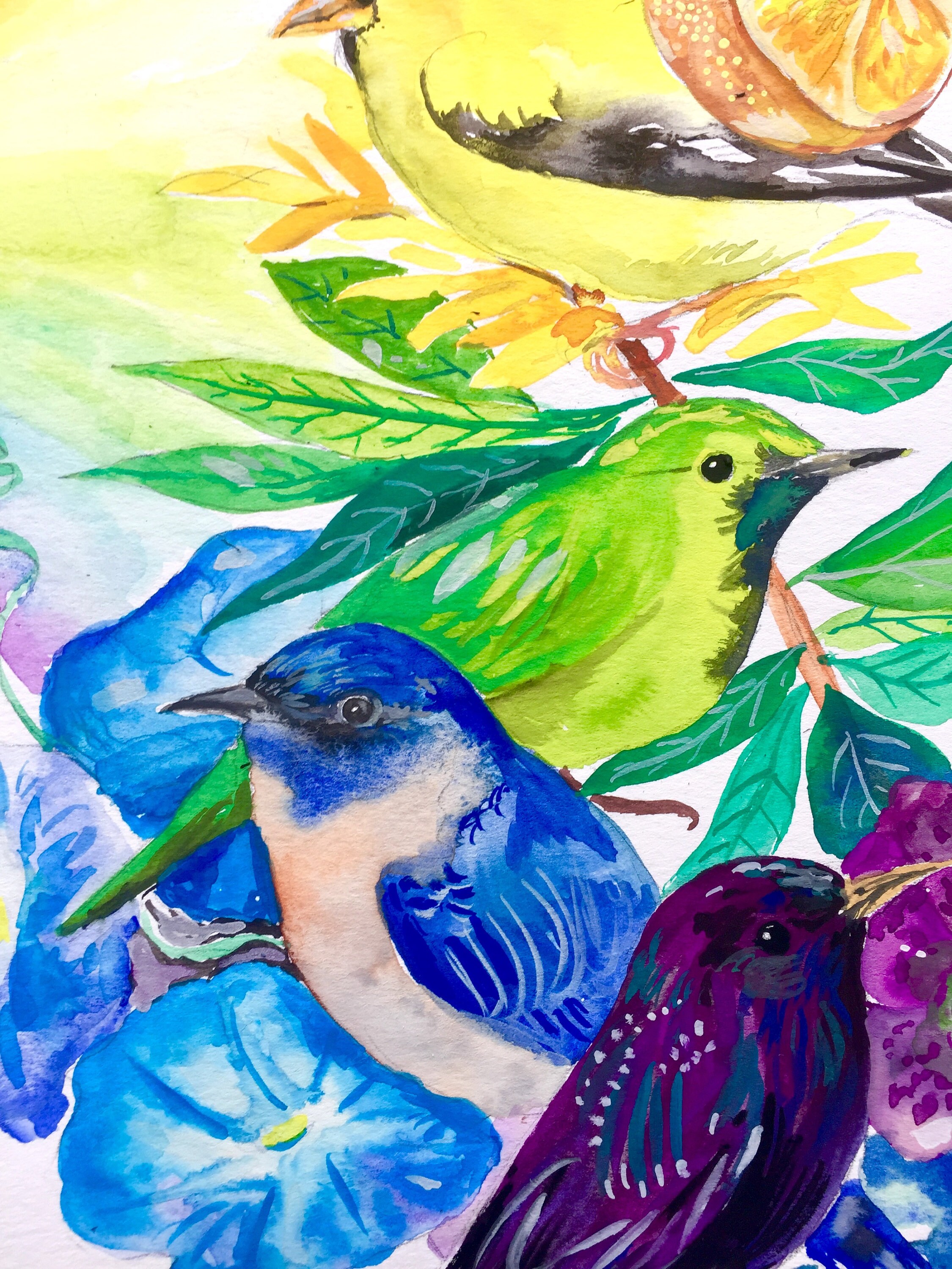 Rainbow of Birds, Print, 8”x10” - Etsy