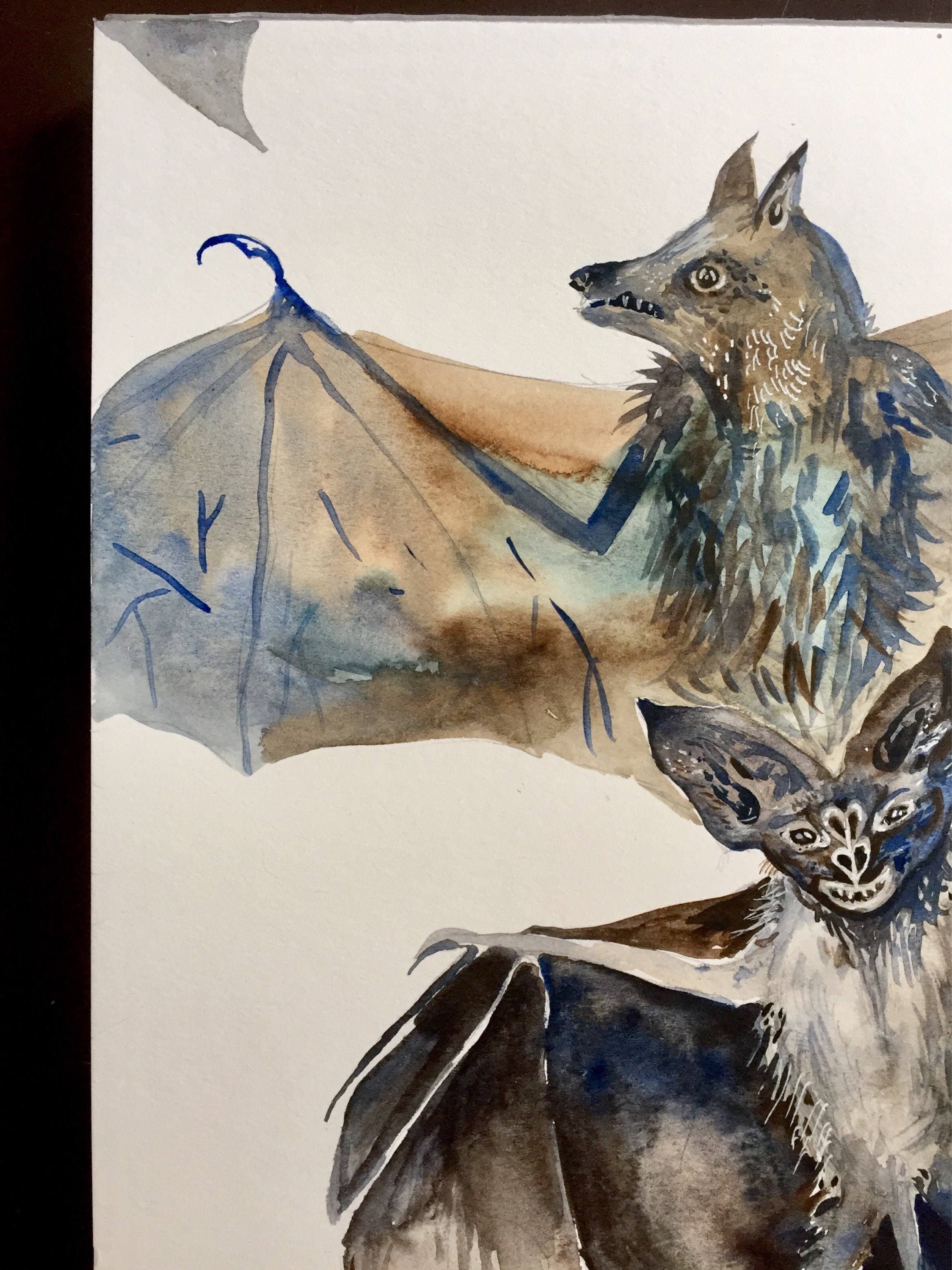 Bats in Flight in Watercolor Watercolor Painting Original - Etsy