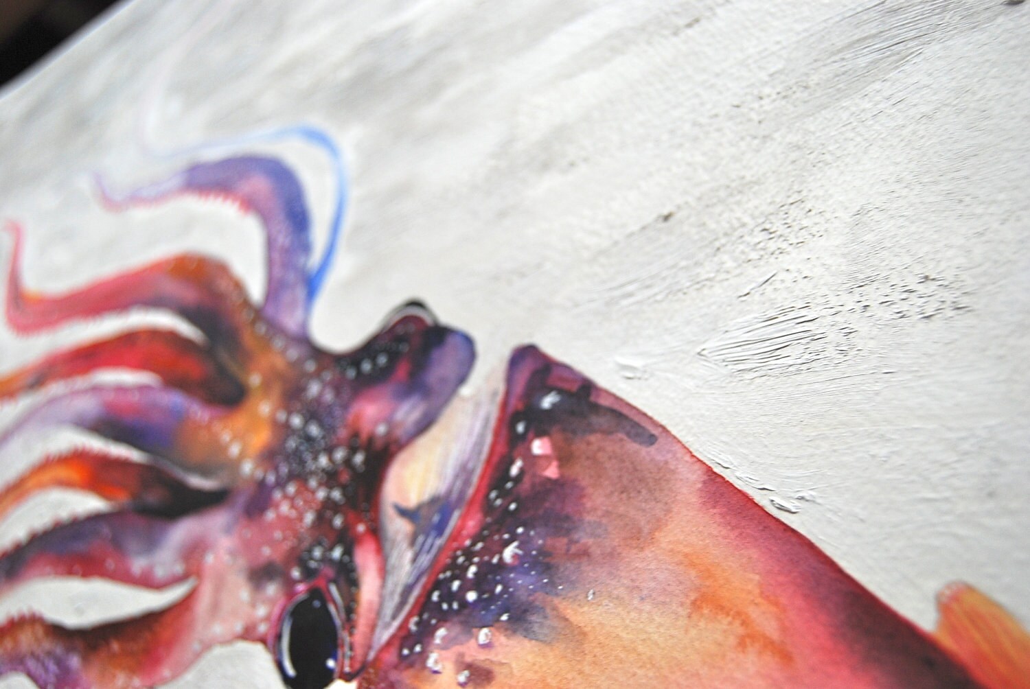 A Squid Giclee Print 8x10 - Etsy