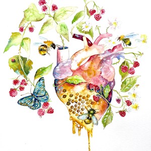 Watercolor Painting Anatomical Heart, Bee and Brambles, Gardener Gift ...