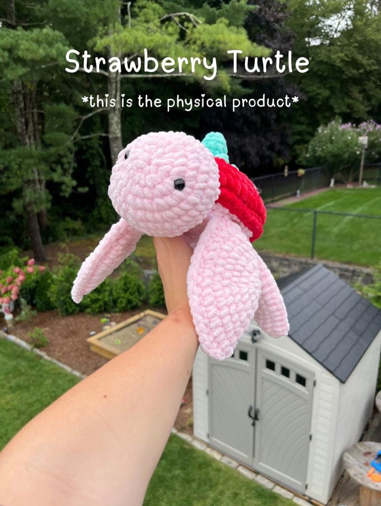Strawberry Turtle - Etsy