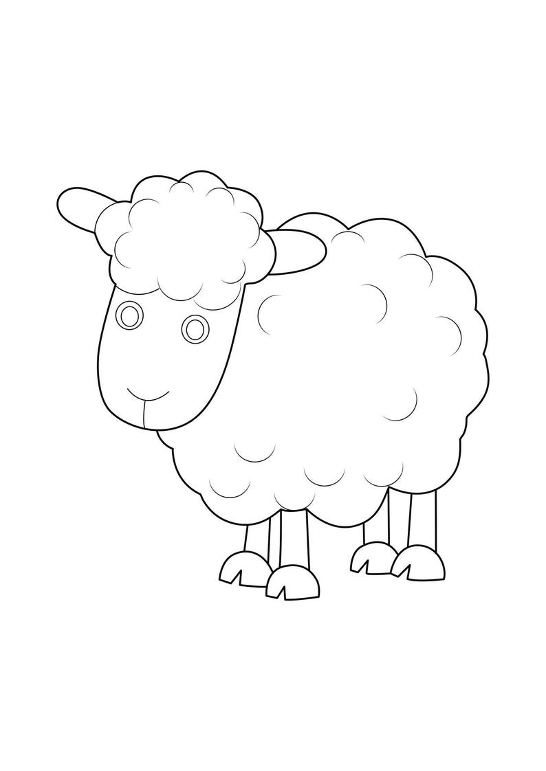 Animal Series Coloring Book 15 Pages, Back to School, Animal Art ...