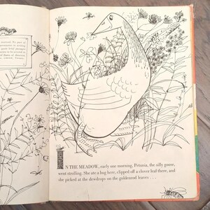 Petunia by Roger Duvoisin - Etsy