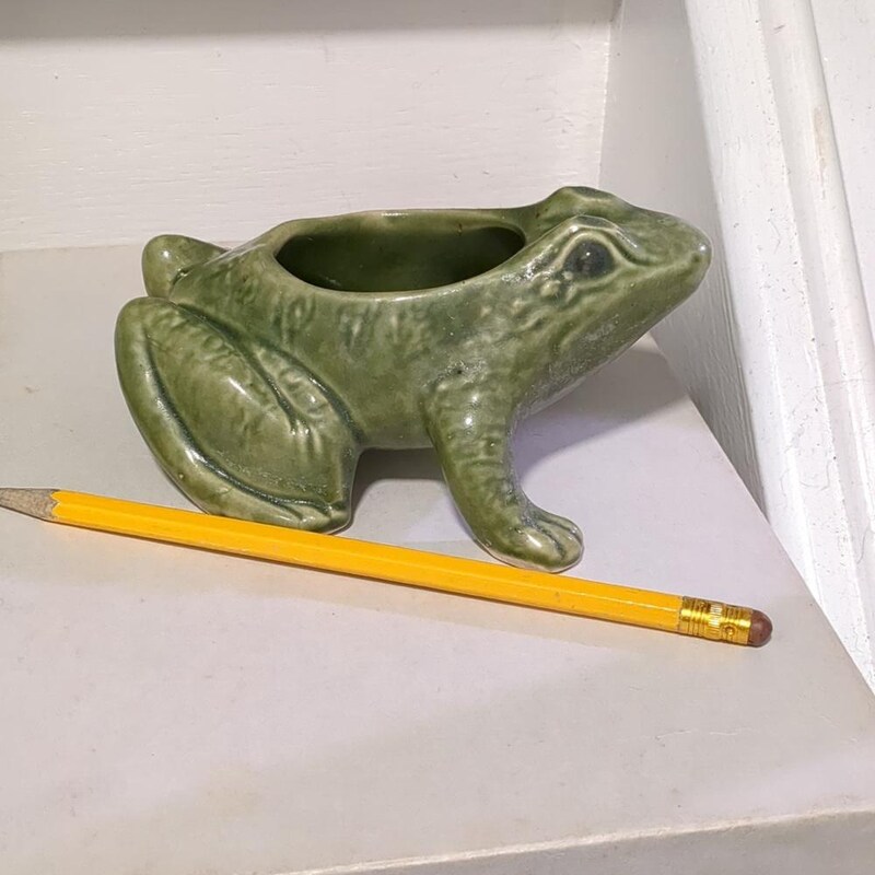 Frog Planter - Etsy
