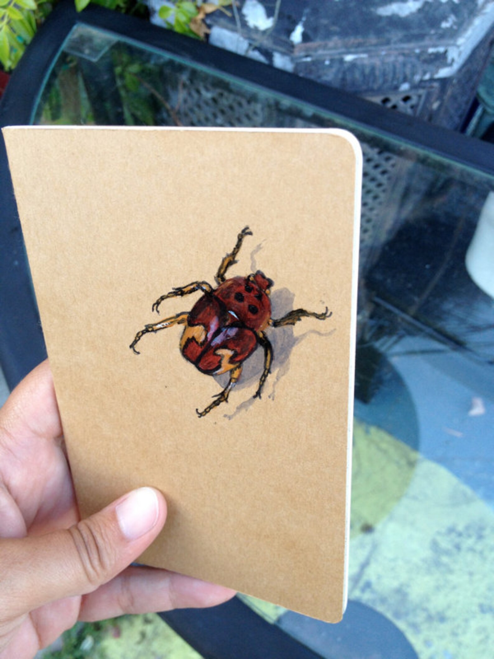 Pocket Book Insect Reference Journal Illustrated Moleskine - Etsy