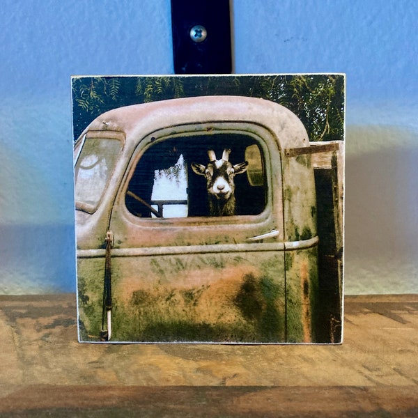 Funny Goat Photo Art Print, Goat in A Truck Fine Art Print, Farmhouse ...