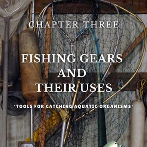 Fishing Gears and Their Uses | Comprehensive Guide to Fishing Equipment ...