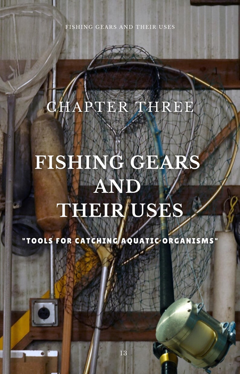 Fishing Gears and Their Uses | Comprehensive Guide to Fishing Equipment ...