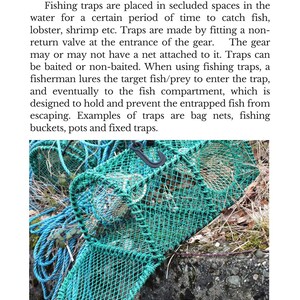 Fishing Gears and Their Uses | Comprehensive Guide to Fishing Equipment ...