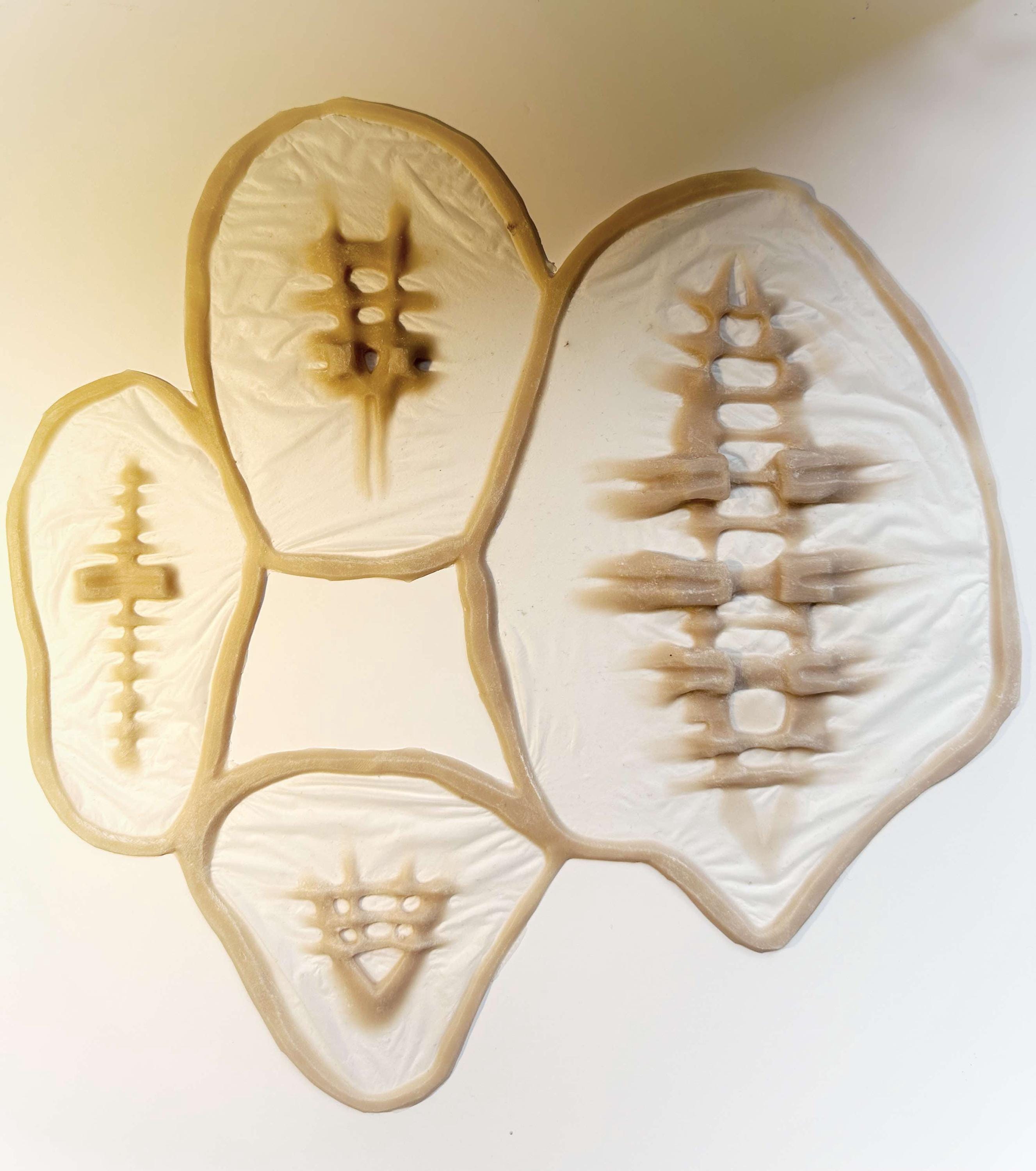 Alien, Alienprosthetics, Sfx, Sfxmakeup, Halloween, Halloweenmakeup ...