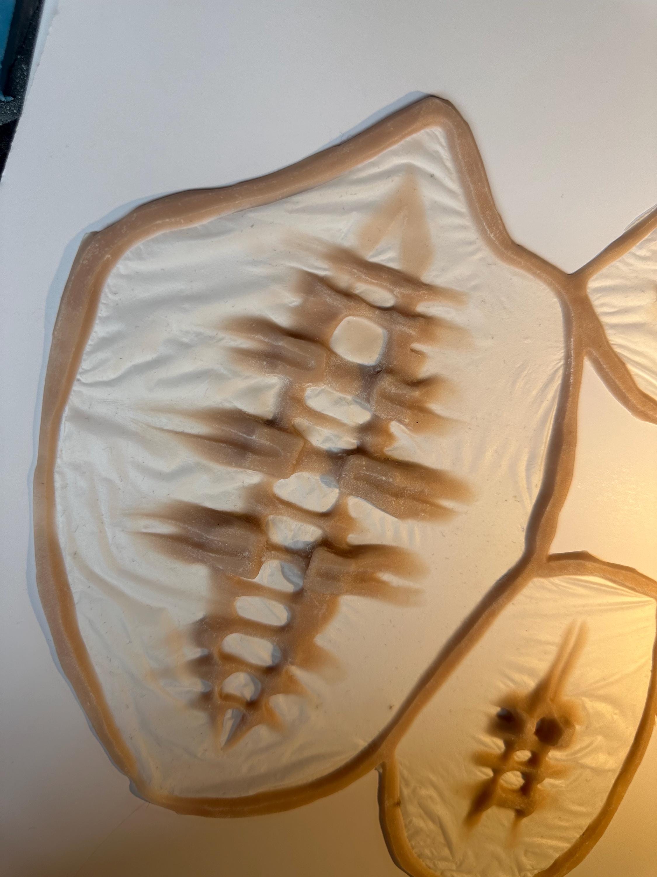 Alien, Alienprosthetics, Sfx, Sfxmakeup, Halloween, Halloweenmakeup ...