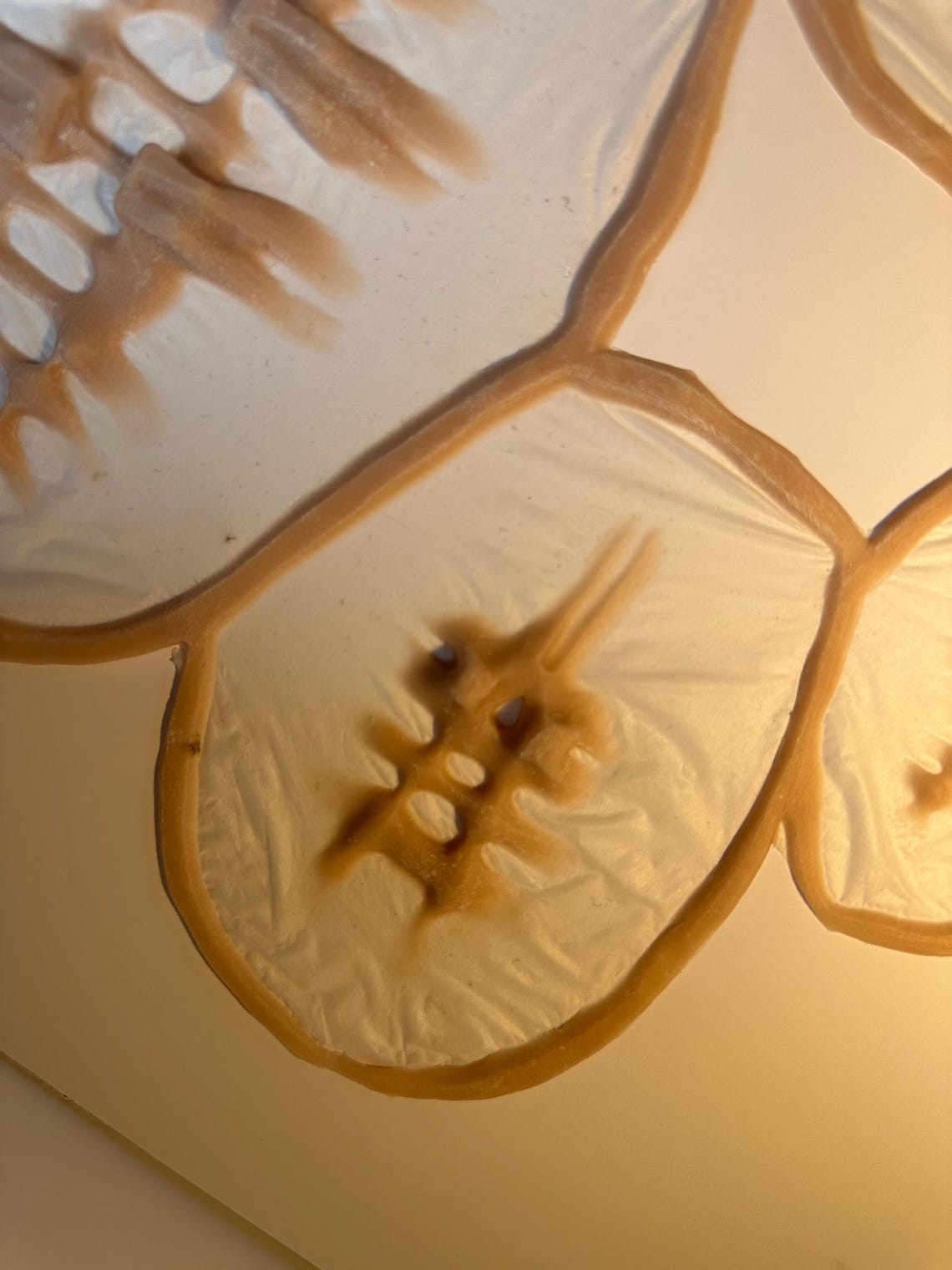 Alien, Alienprosthetics, Sfx, Sfxmakeup, Halloween, Halloweenmakeup ...