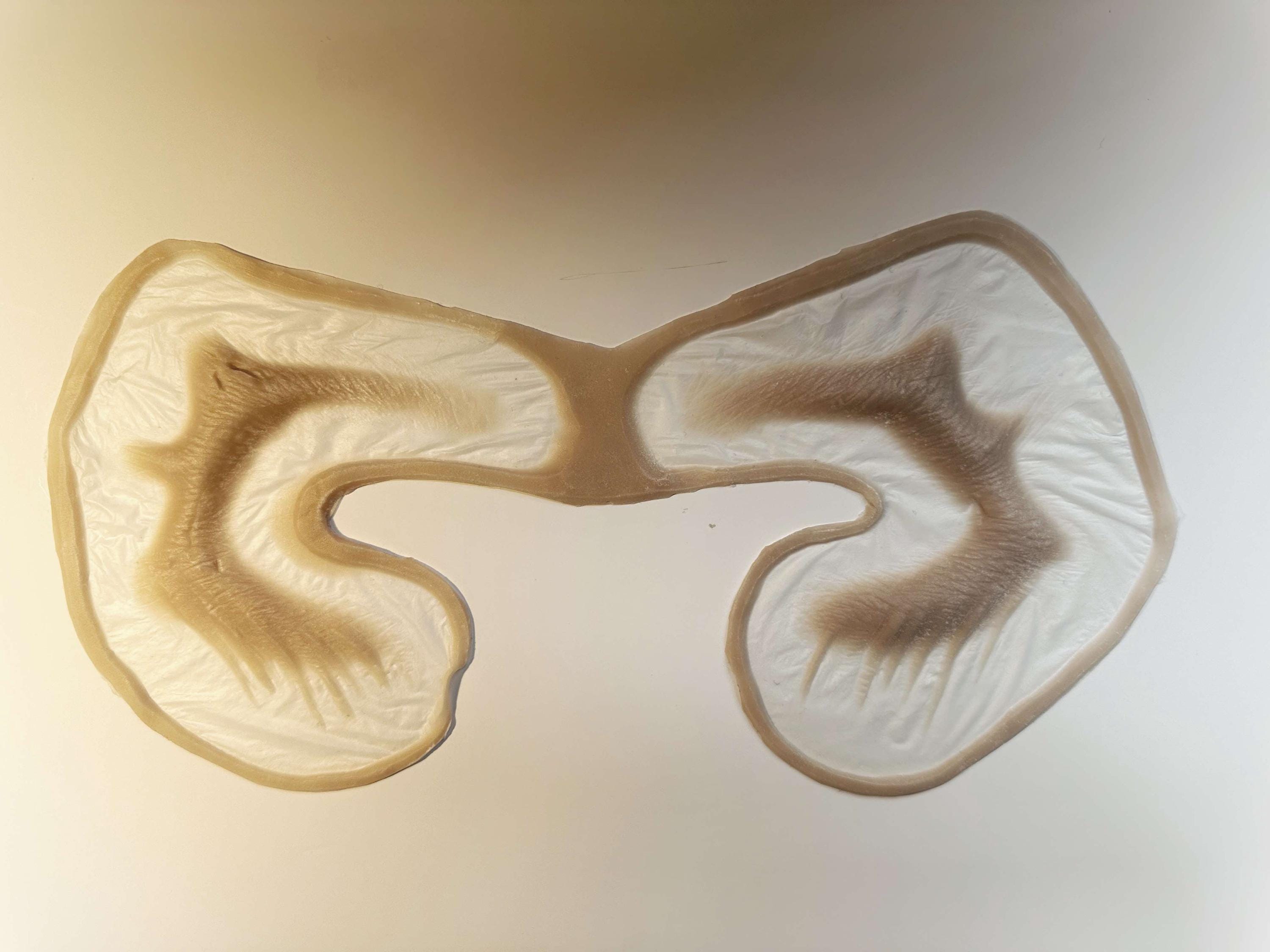 Prosthetics Corpse, Corpse, Ghoul, Zombie, Horror, Halloween Makeup ...