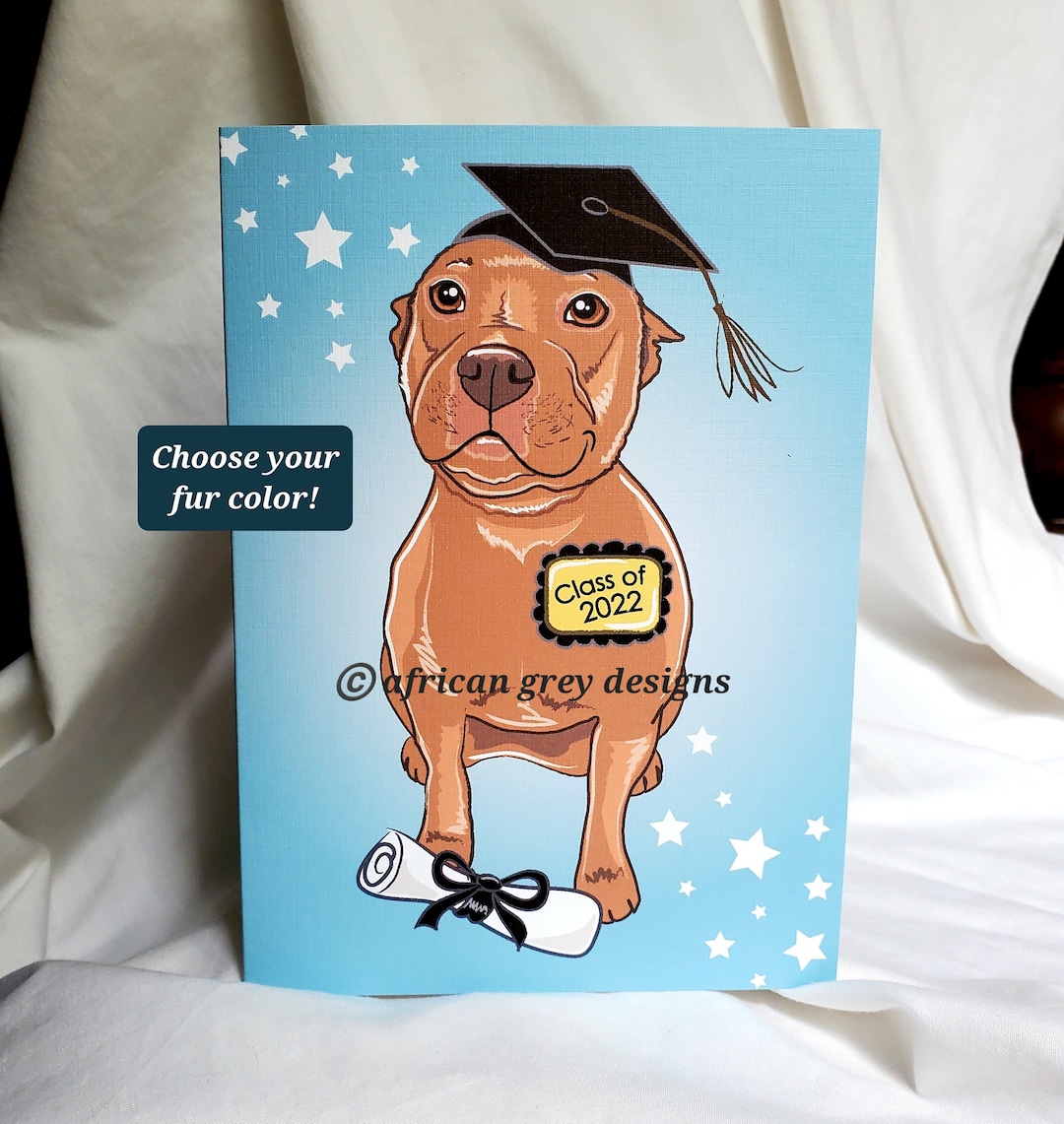 Pit Bull Graduation Greeting Card - Etsy