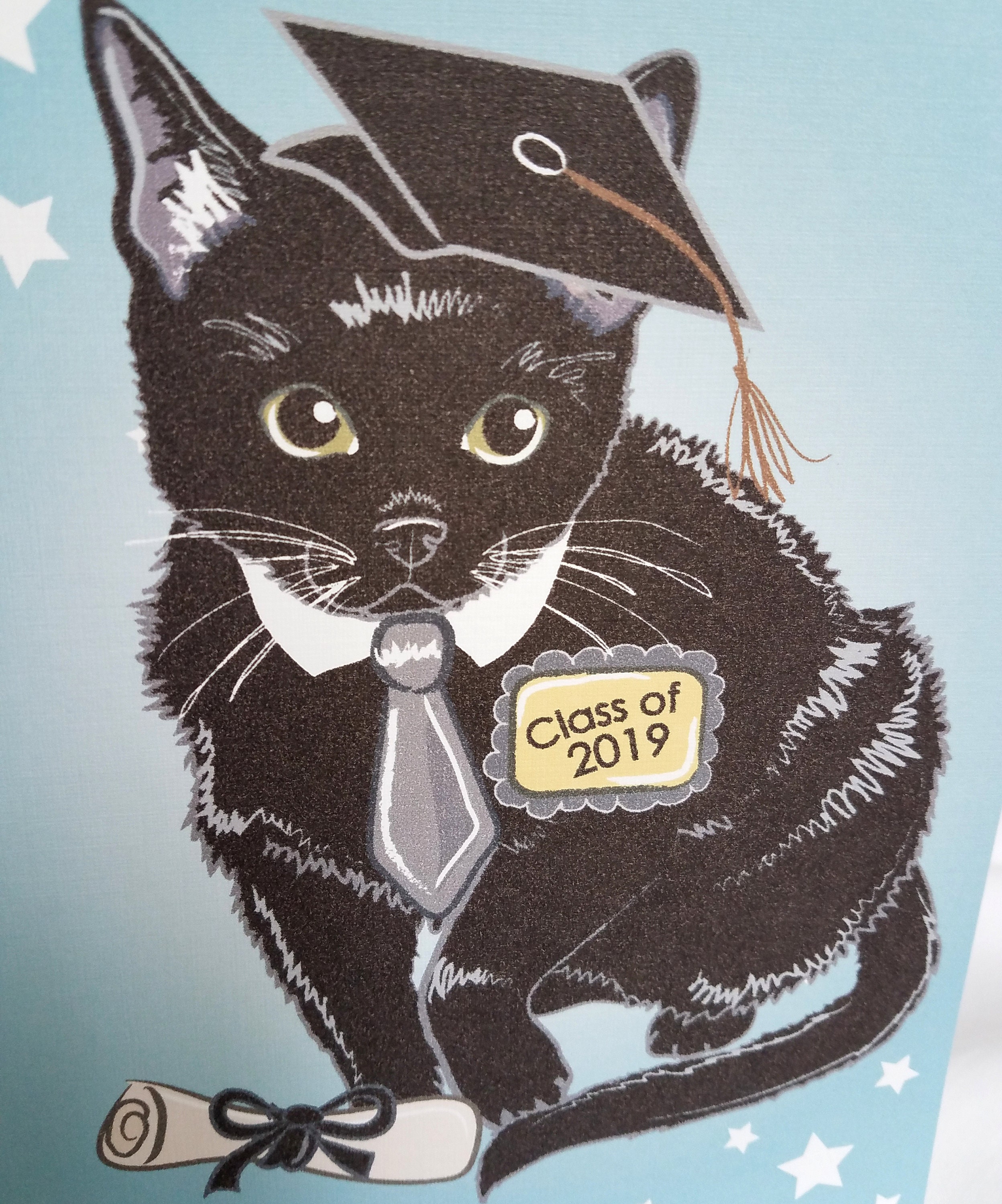 Black Cat Graduation Greeting Card | Etsy