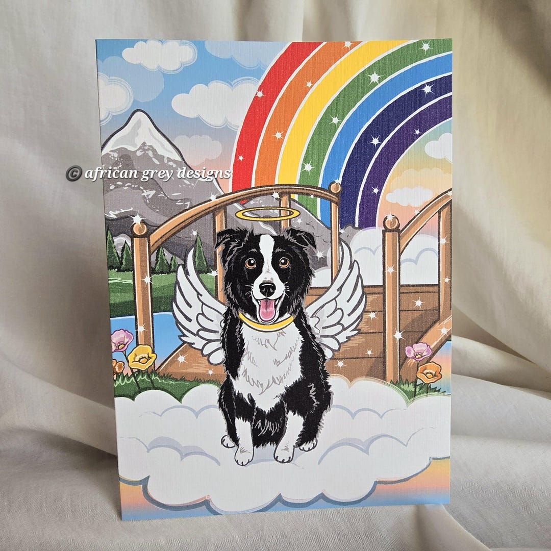 Rainbow Bridge Border Collie Angel Greeting Card - Etsy