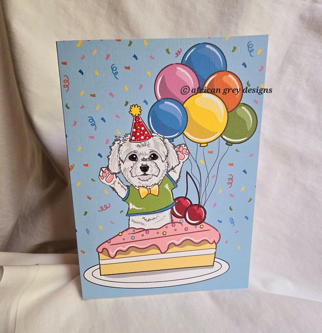 Maltese Birthday Cake Greeting Card - Etsy