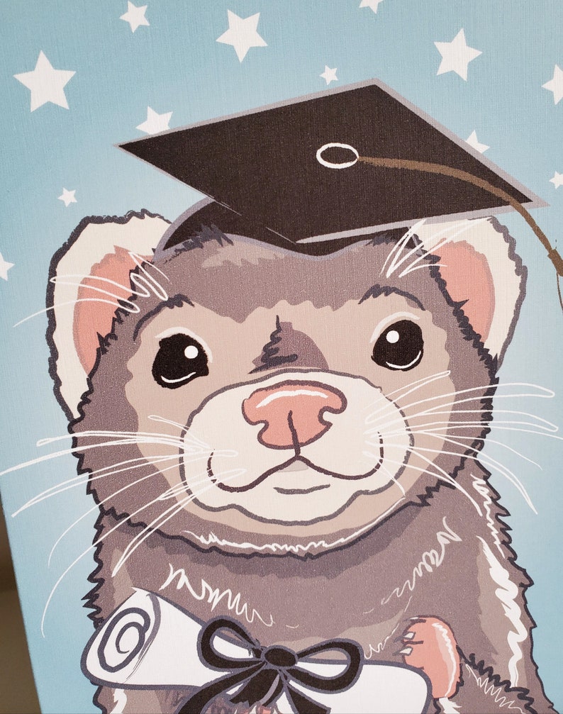 Ferret Graduation Greeting Card - Etsy