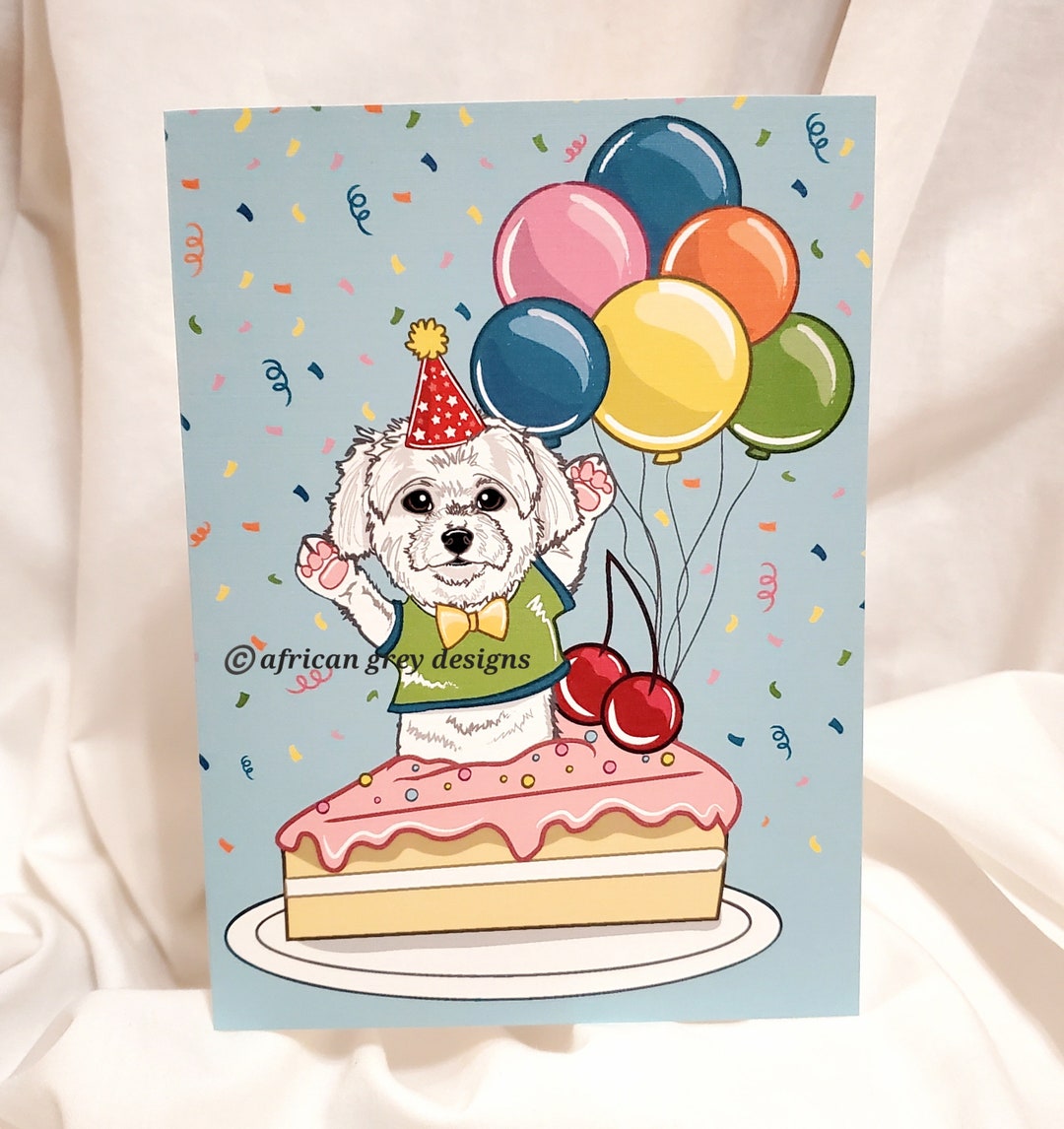 Maltese Birthday Cake Greeting Card - Etsy