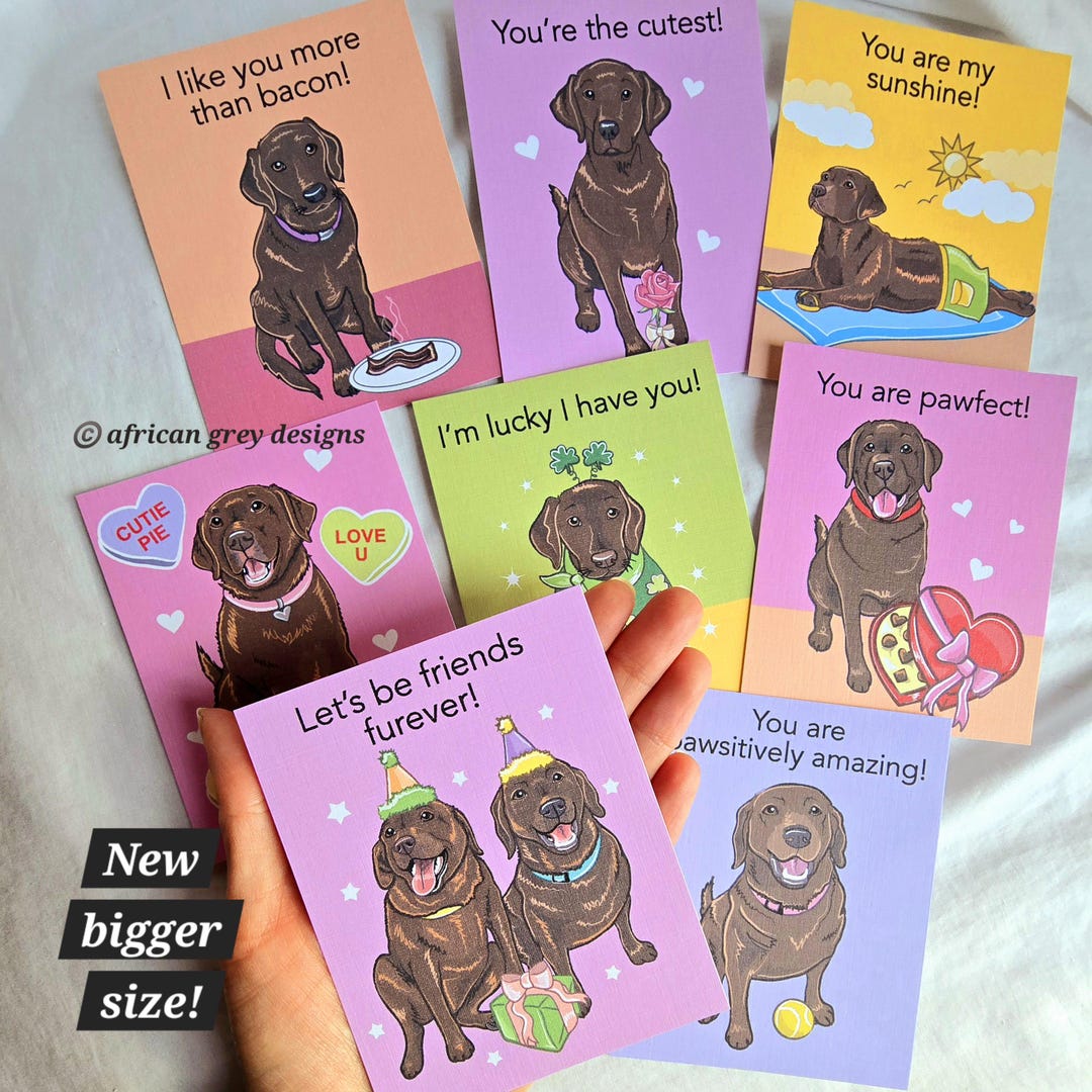 Chocolate Lab Valentines - New Bigger Size - Eco-friendly Set of 8 - 3. ...