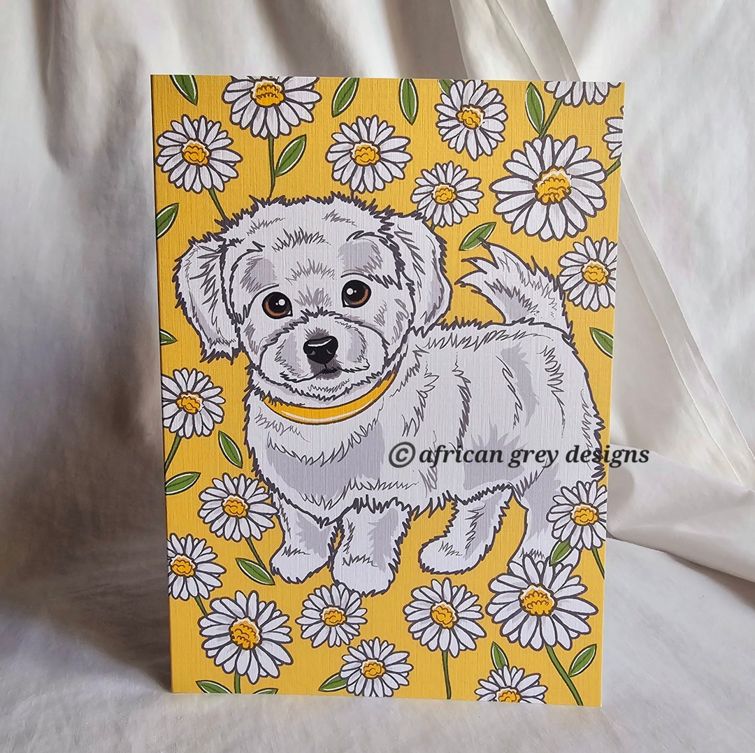 Daisy Maltese Greeting Card - Etsy