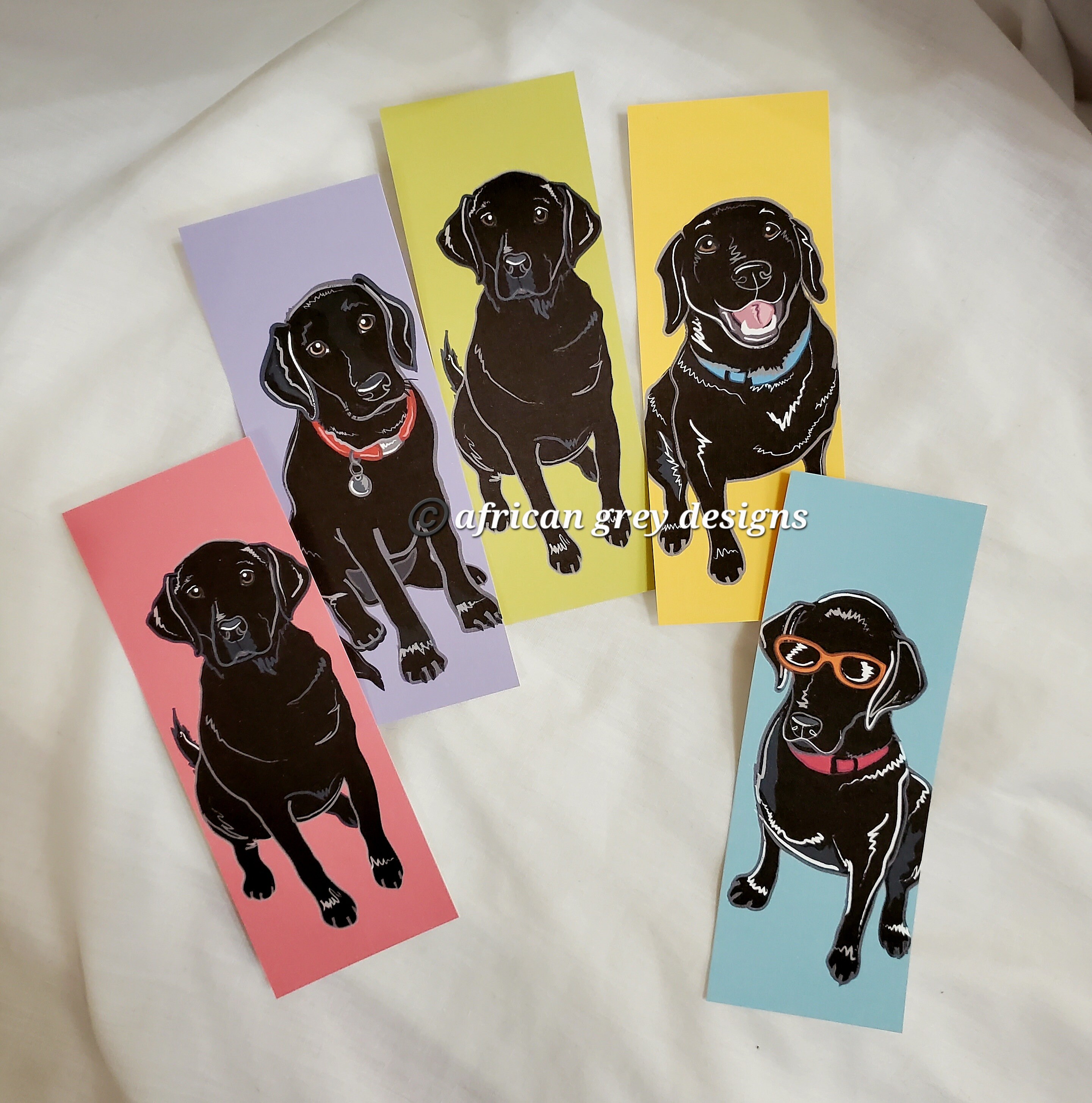 Are Labradors Friendly