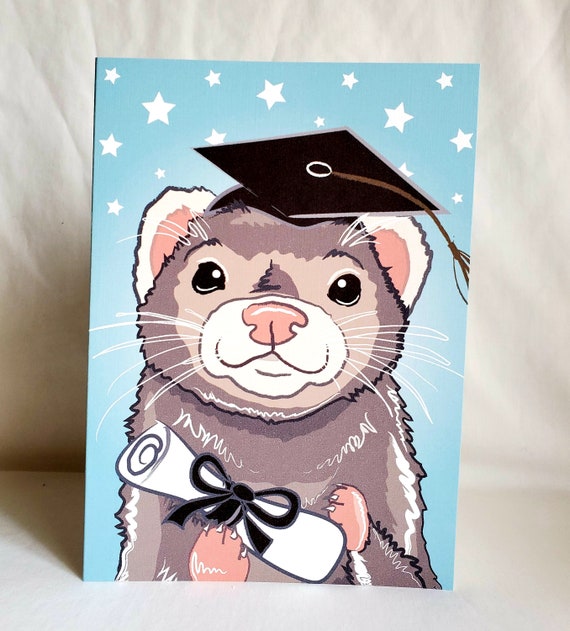 Ferret Graduation Greeting Card - Etsy