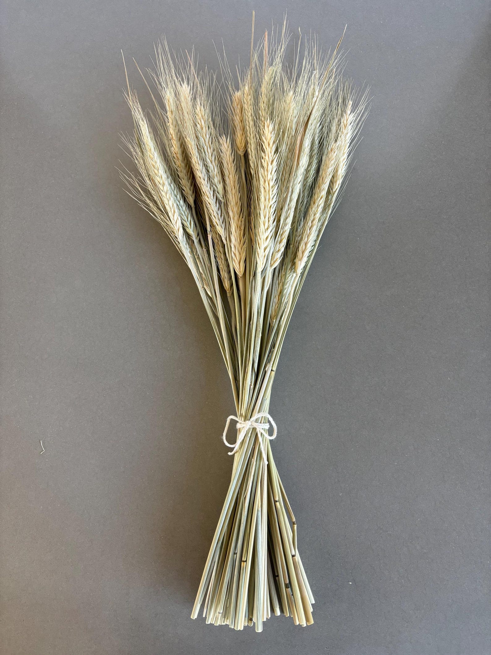 Dried Wheat Bunch, Natural Home Decor, Neutral Filler for Bouquets and ...