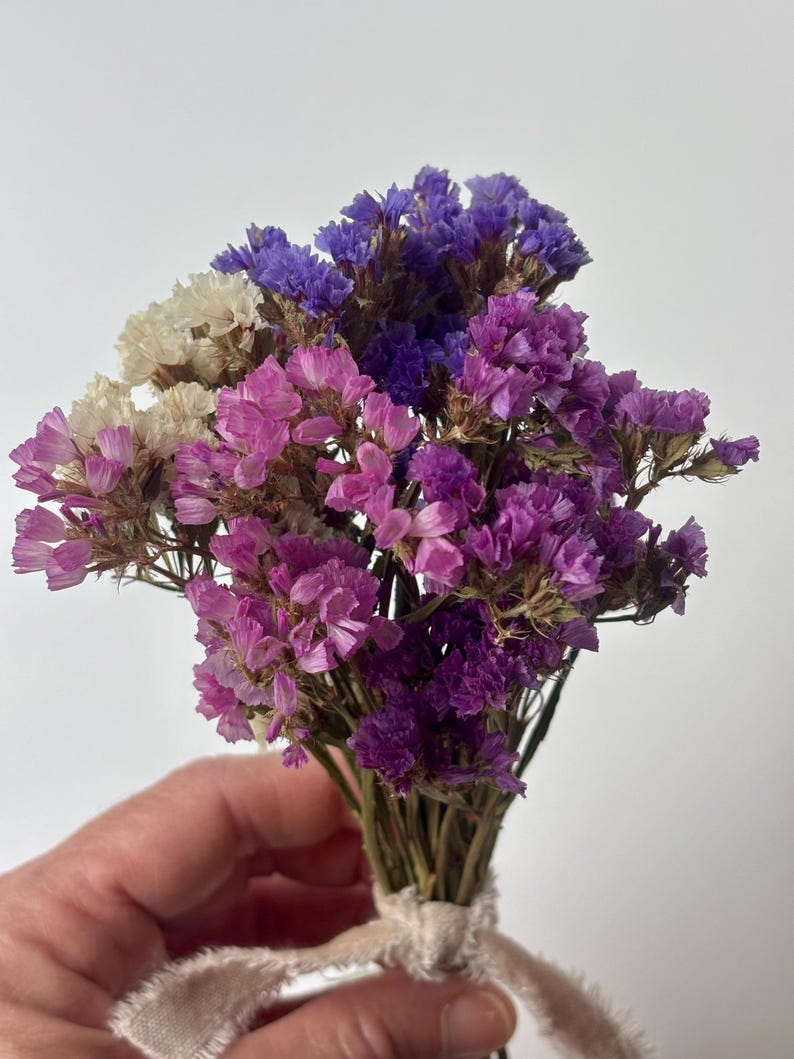 Small Dried Colorful Flower Bouquet: Farm Grown Floral Gift - Etsy ...