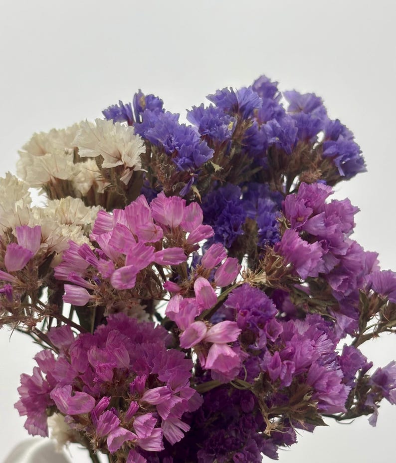 Small Dried Colorful Flower Bouquet: Farm Grown Floral Gift - Etsy ...