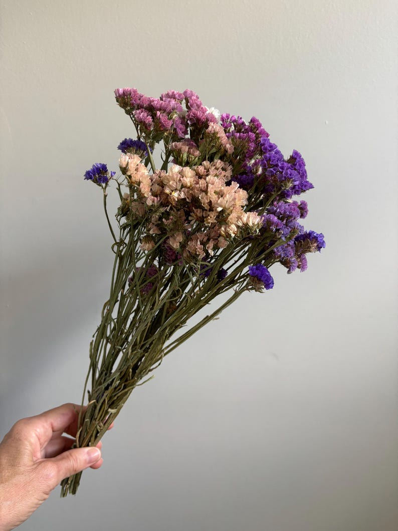 Dried Statice Bunch, Dried Mixed Color Flowers, Bouquet Filler - Etsy