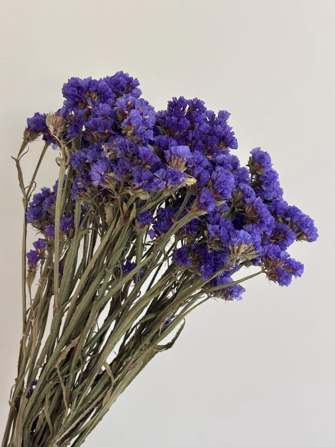 Dried Flowers Blue Statice; Natural Diy Bouquet Filler - Etsy