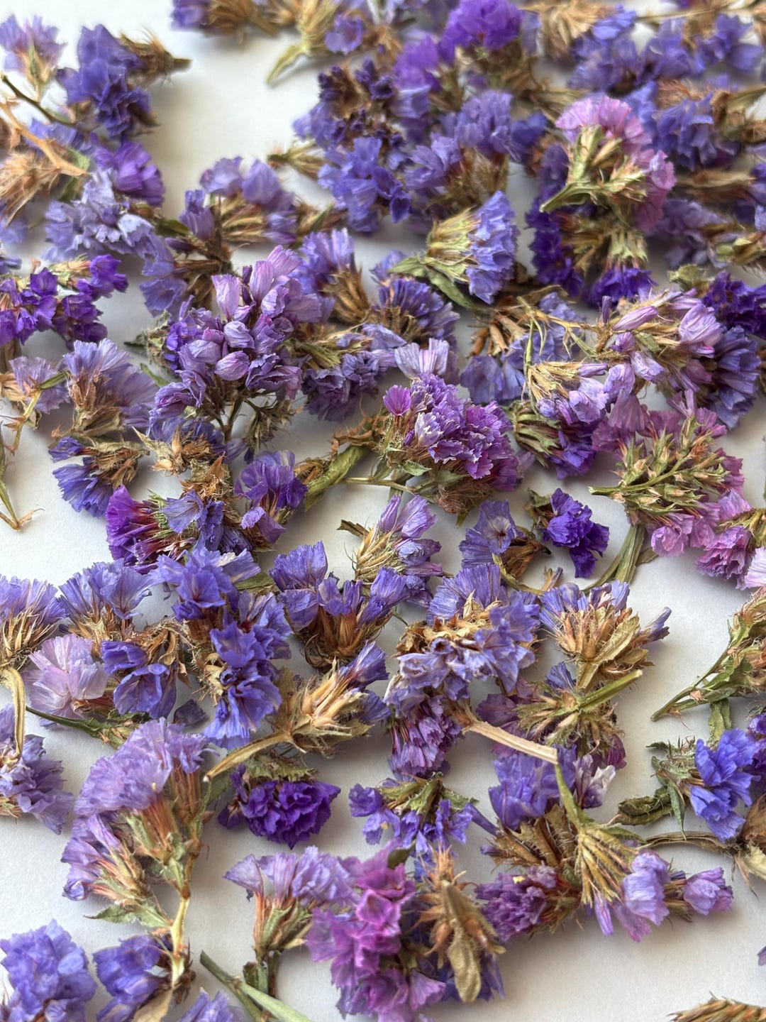 Dried Purple Statice Petals, Tiny Flower Petals for Jewelry and Crafts ...