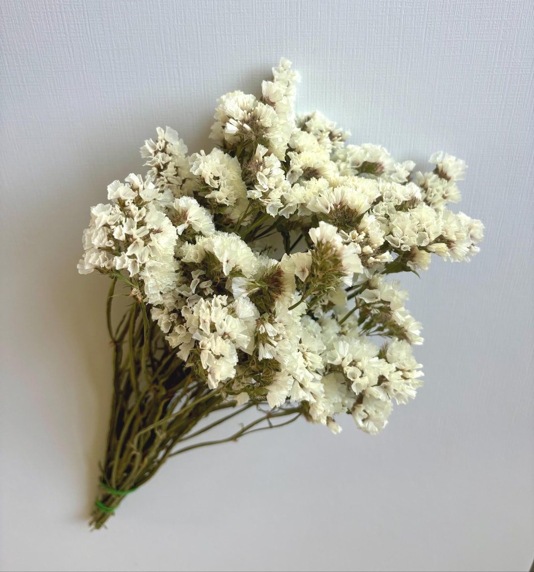 Dried White Flower Stems, Naturally Dried Statice Bunch, Diy Bouquet ...