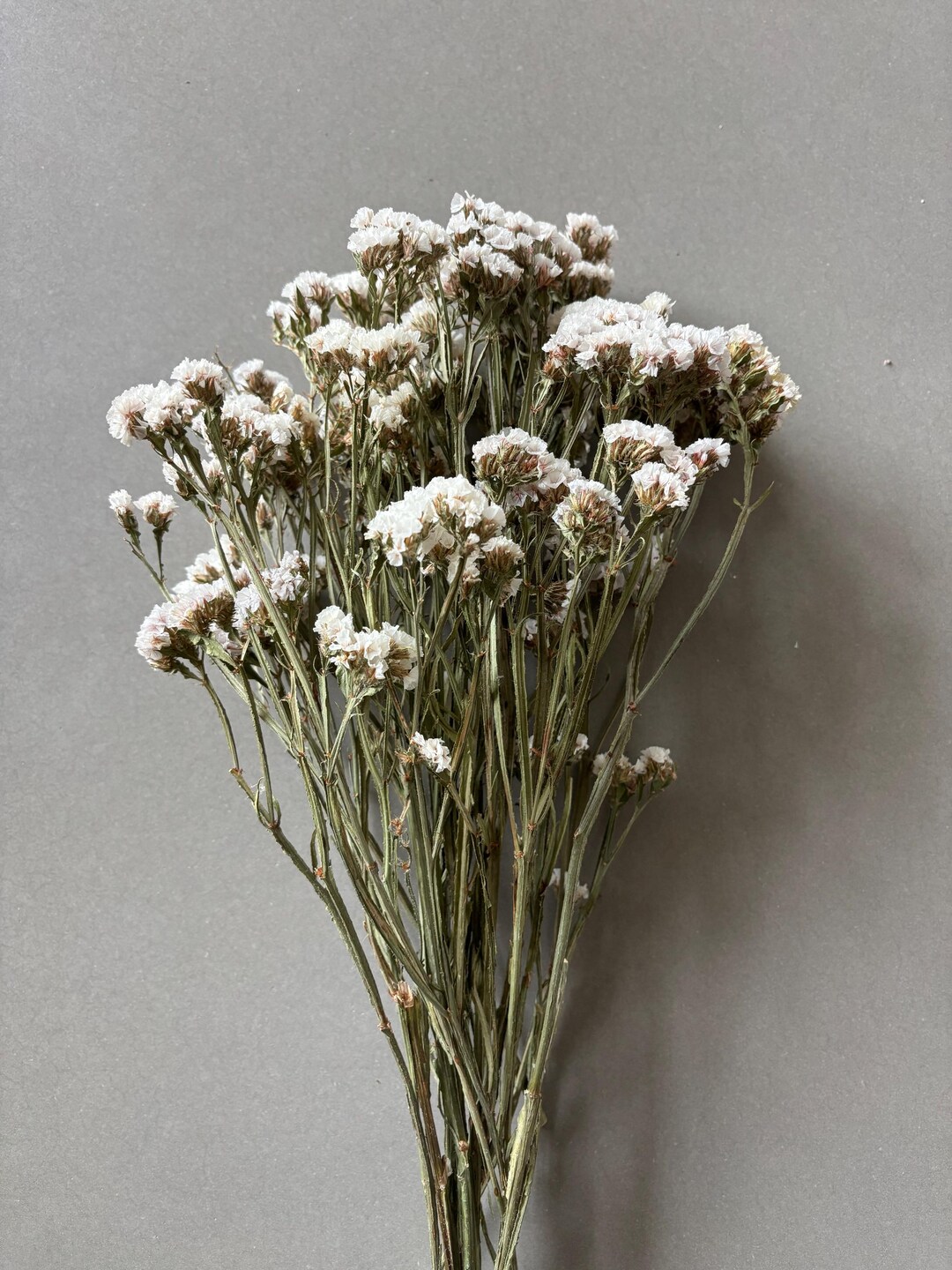 Dried Statice Bunch All White, Dried White Flowers, Materials for ...